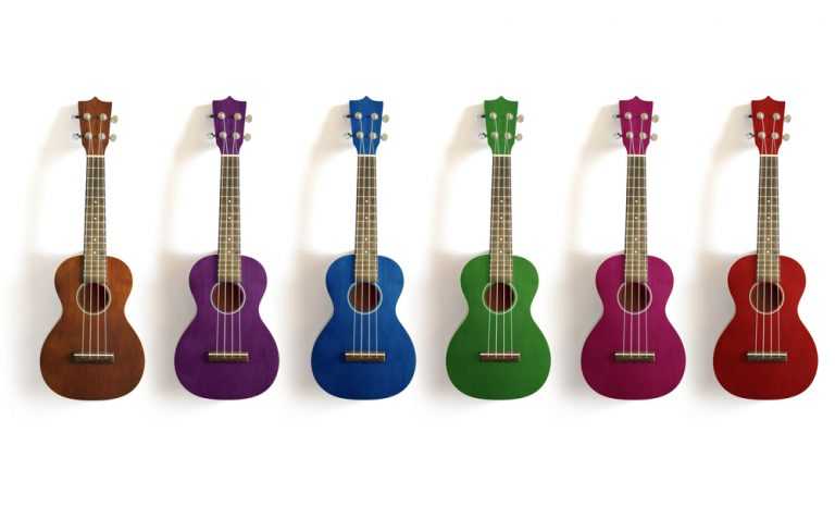 Types of Ukuleles