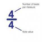 Piano Terminology: Top Terms to Know for Beginning Pianists