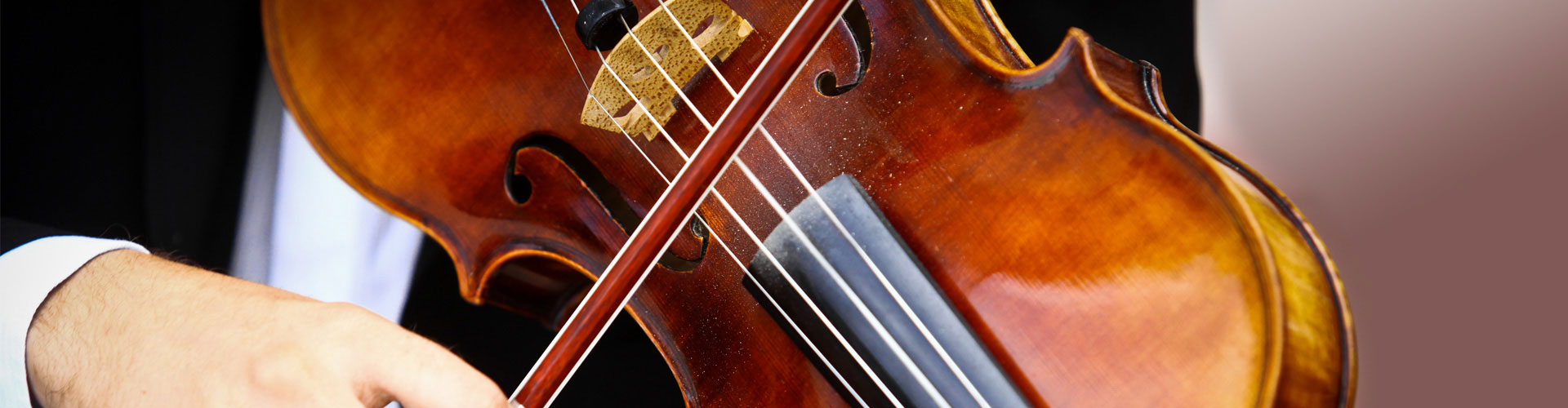 Viola Lessons in Chaldean Town MI - Musika Music Teachers